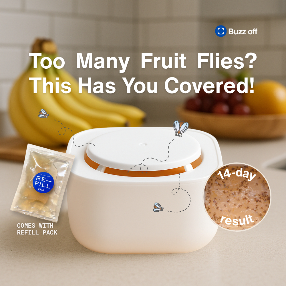 Buzz Off | Locally Made Fruit Fly Trap Killer Bait/Catcher/Holder and ...