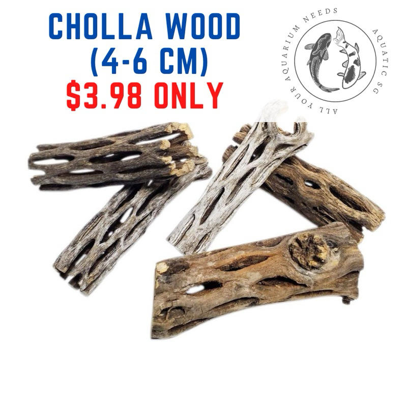 SG READY STOCK | Cholla Wood for Shrimps | Shopee Singapore