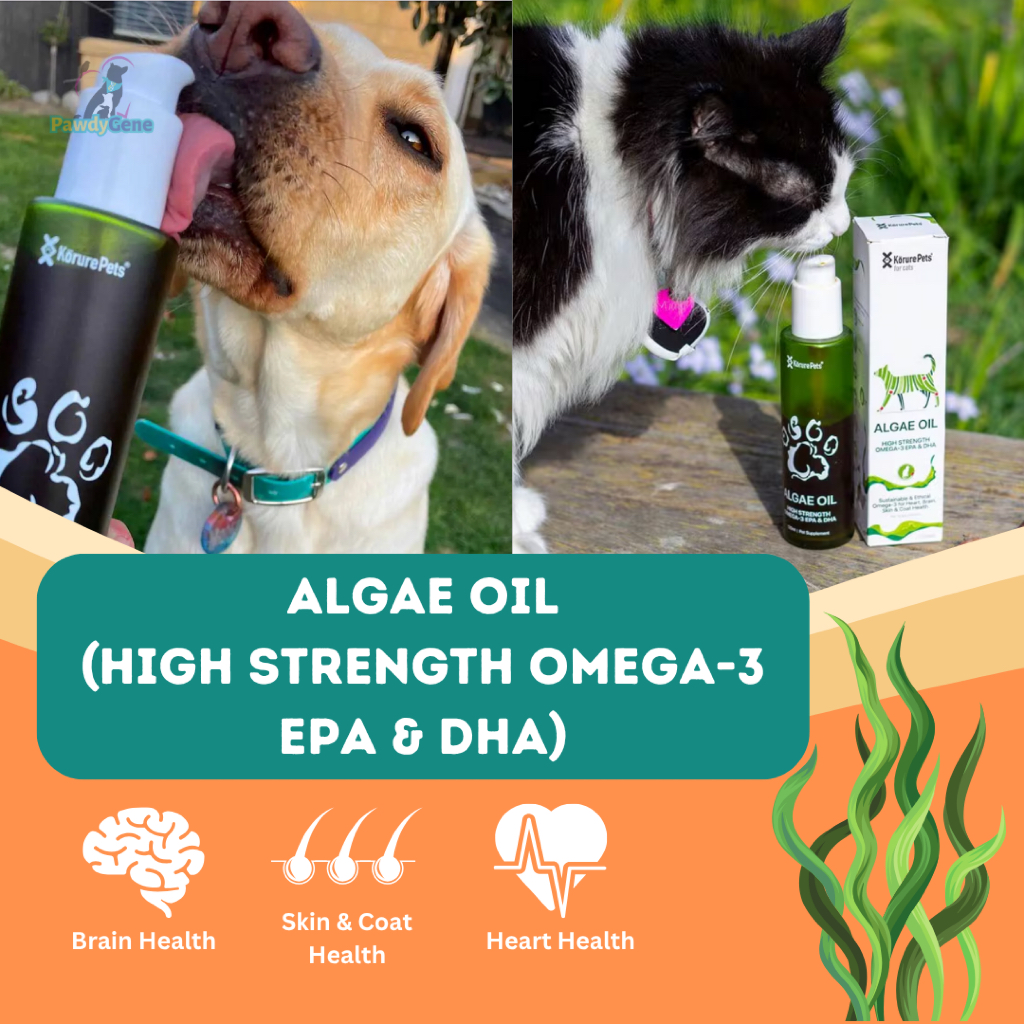 Korure Pets Cat/Dog 100% Algae Oil High Strength Omega-3 EPA & DHA ...