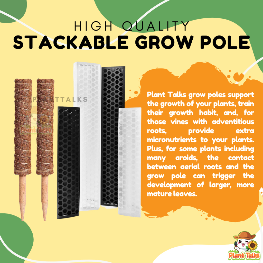 Plant Talks Coco Coir Grow Pole Honeycomb Moss Climbing Pole Plant ...