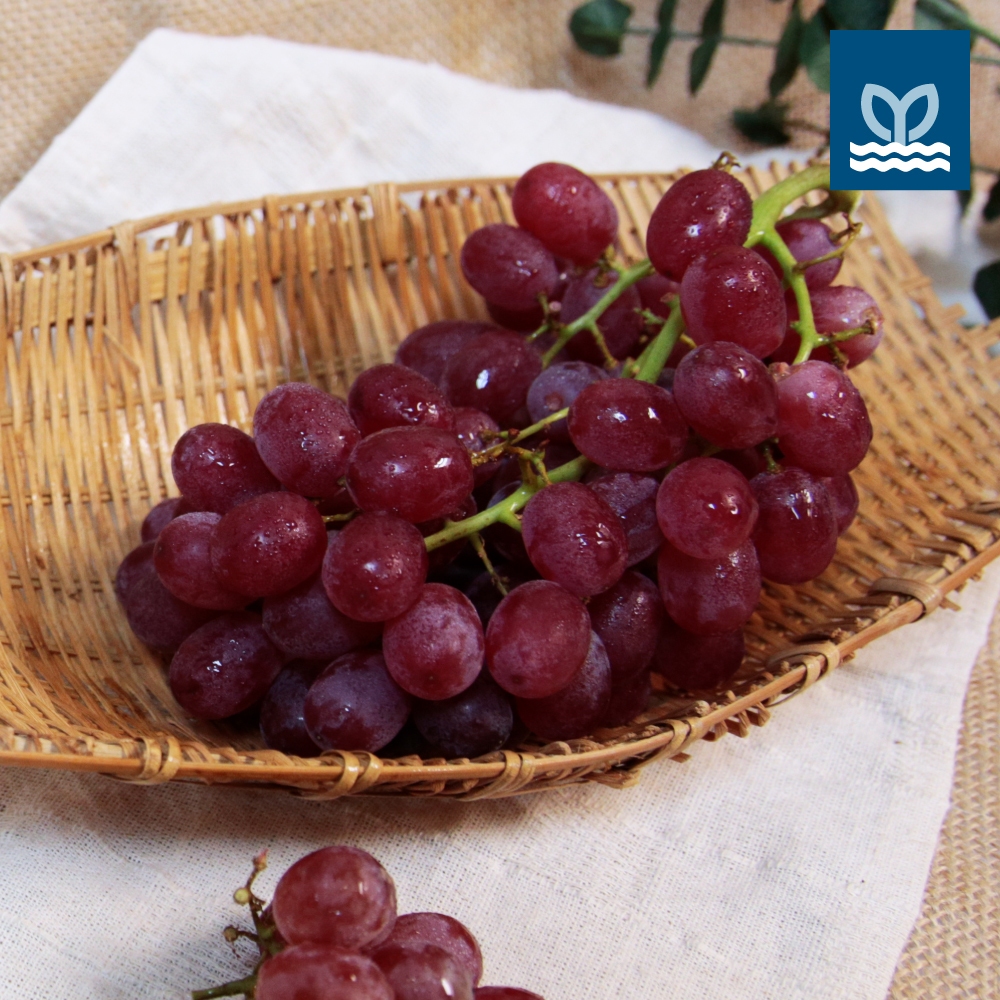 Prime Fresh - South Africa Red Seedless Grapes 500G | Shopee Singapore