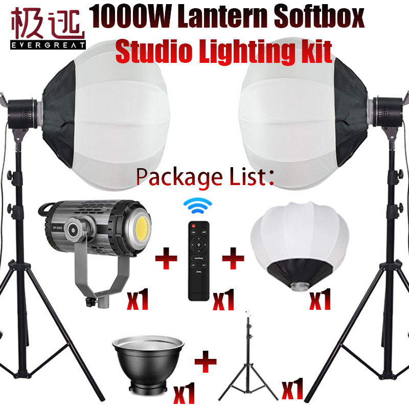 1000W LED Video Lights Photography Flash/Continuous Studio Lighting Set ...