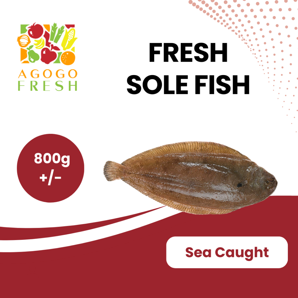 [Agogo Fresh - Fish & Seafood] Fresh Sole Fish (500g +/-) | Shopee ...