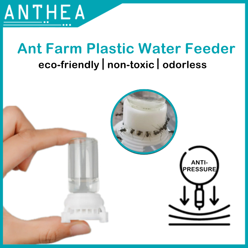 Mini Ant Water Feeder Ant Nest Farm Accessories Insect Water Tower Anti ...