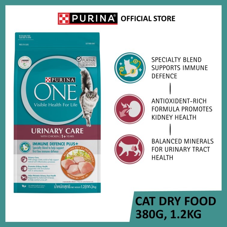 Purina ONE Urinary Care Dry Cat Food 380g, 1.2kg | Shopee Singapore