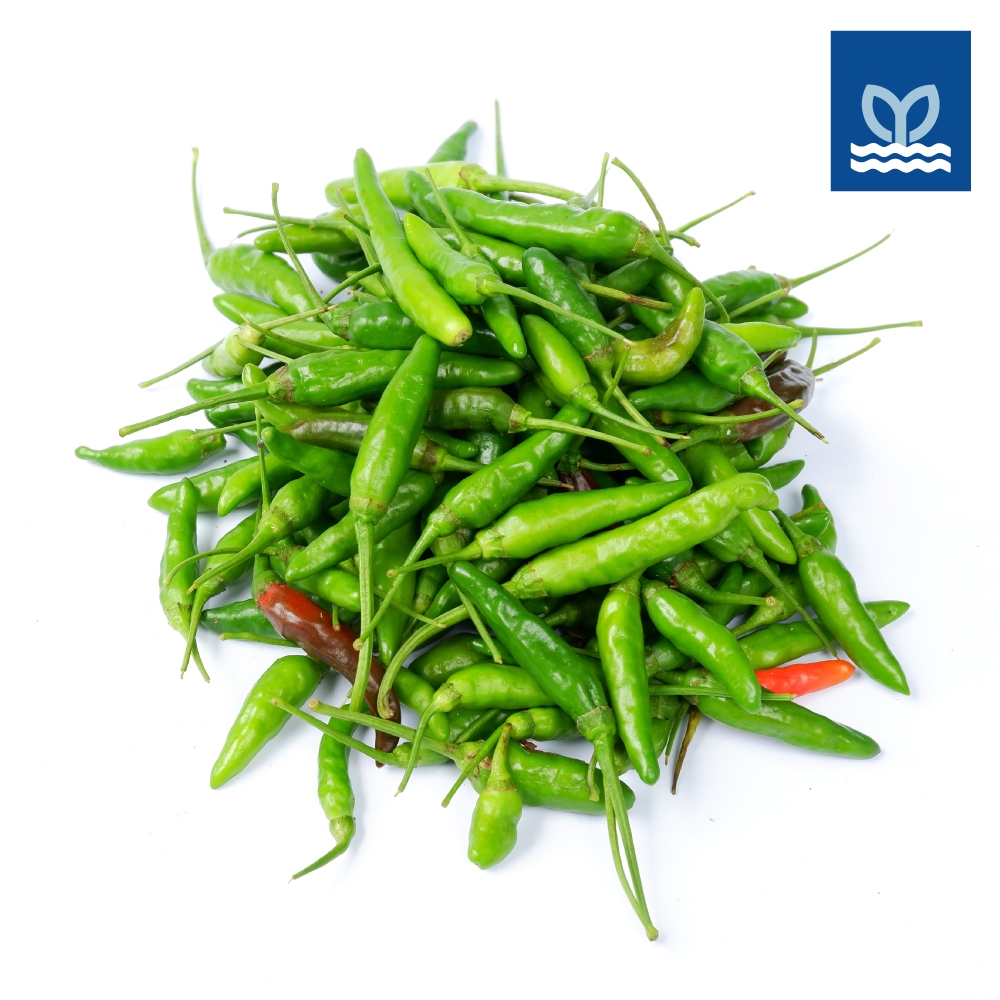 Prime Fresh - Chilli Padi Green 小辣椒青 | Shopee Singapore