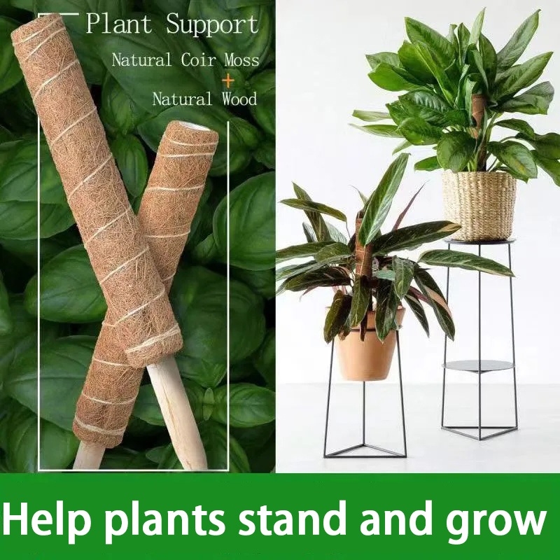 Natural Coco Coir Grow Pole Plant Support Climbing Pole Help Plant ...