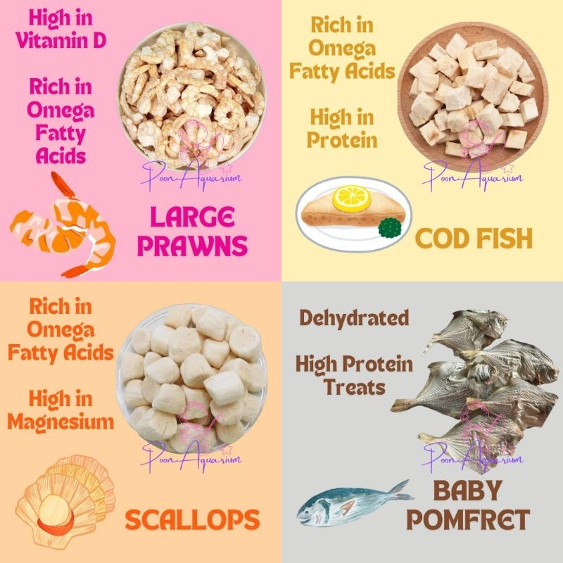 🇸🇬 SG STOCK 🇸🇬 PREMIUM FREEZE DRIED SEAFOOD TREATS FOR CATS & DOGS ...