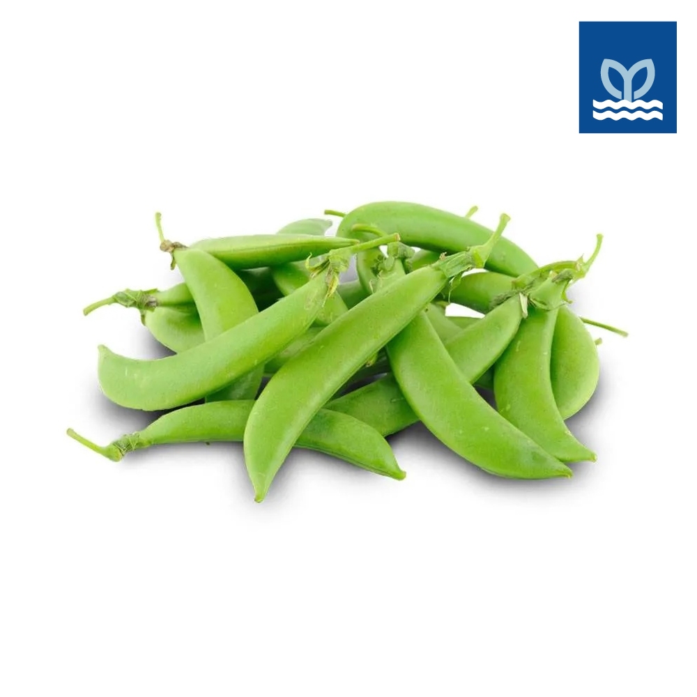 Prime Fresh - Sweet Peas 甜豆 130G | Shopee Singapore