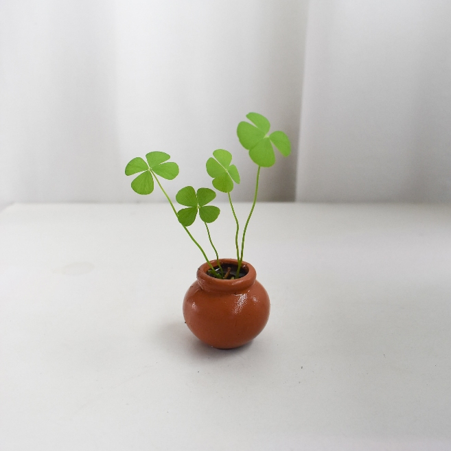4-leaf water clover (Delivered upright by car) | Shopee Singapore