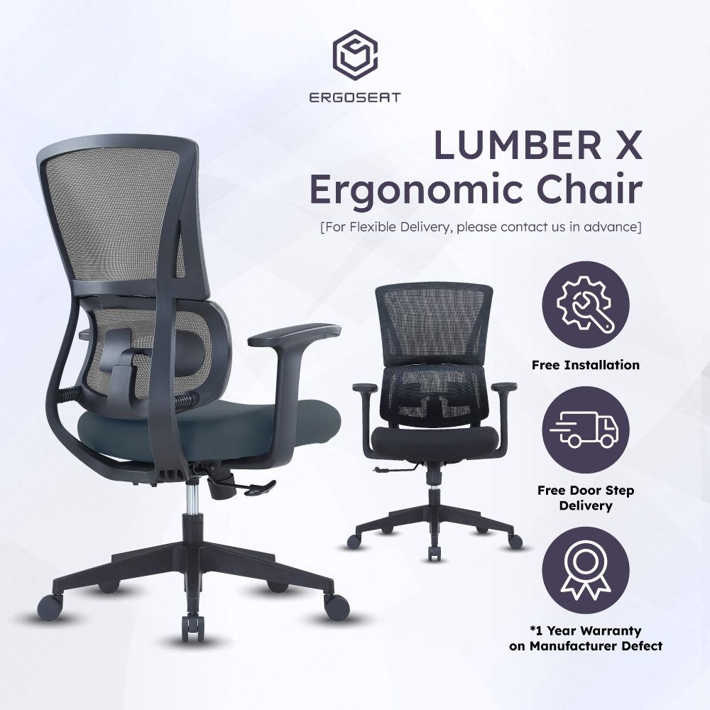 Ergoseat LUMBER X Ergonomic Home Office Chair + Lumber Support Height ...