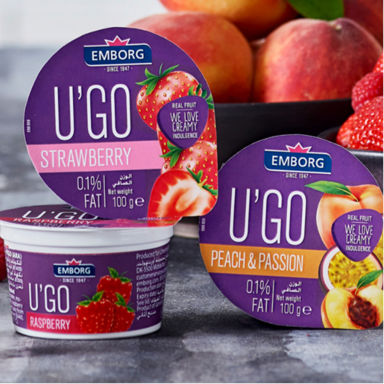 [Bundle of 5] Emborg U'GO Yogurt (Flavors: Strawberry | Raspberry ...