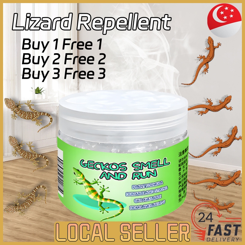 [SG In Stock]Lizard repellent Plant formula is upgraded Lizard Trap ...
