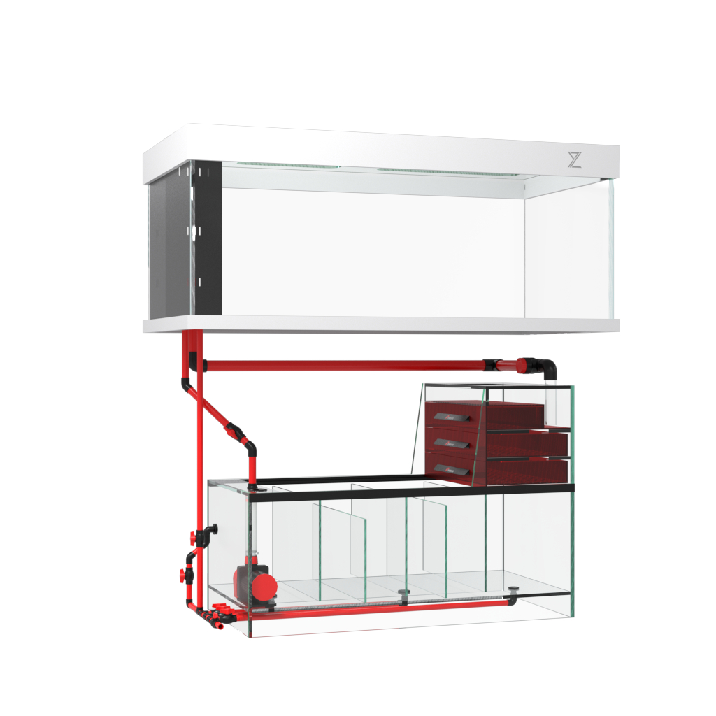 ZY Fish Tanks Arowana Series Basic Tier 5x2.5x2.5 in Grey | Shopee ...