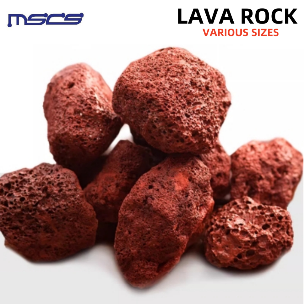 【SG】500g Filter Aquarium Lava Rock Volcano Stone for Fish tank | Shopee ...