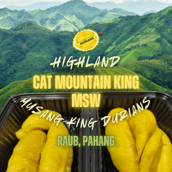 MSW Special Selection - Musang King D197 Superior Form Durians (min ...