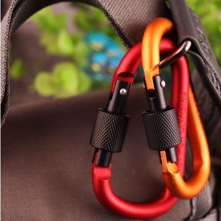 6pcs Carabiner Clips Set Heavy Duty Carabina Clip D Shape Spring-Loaded ...