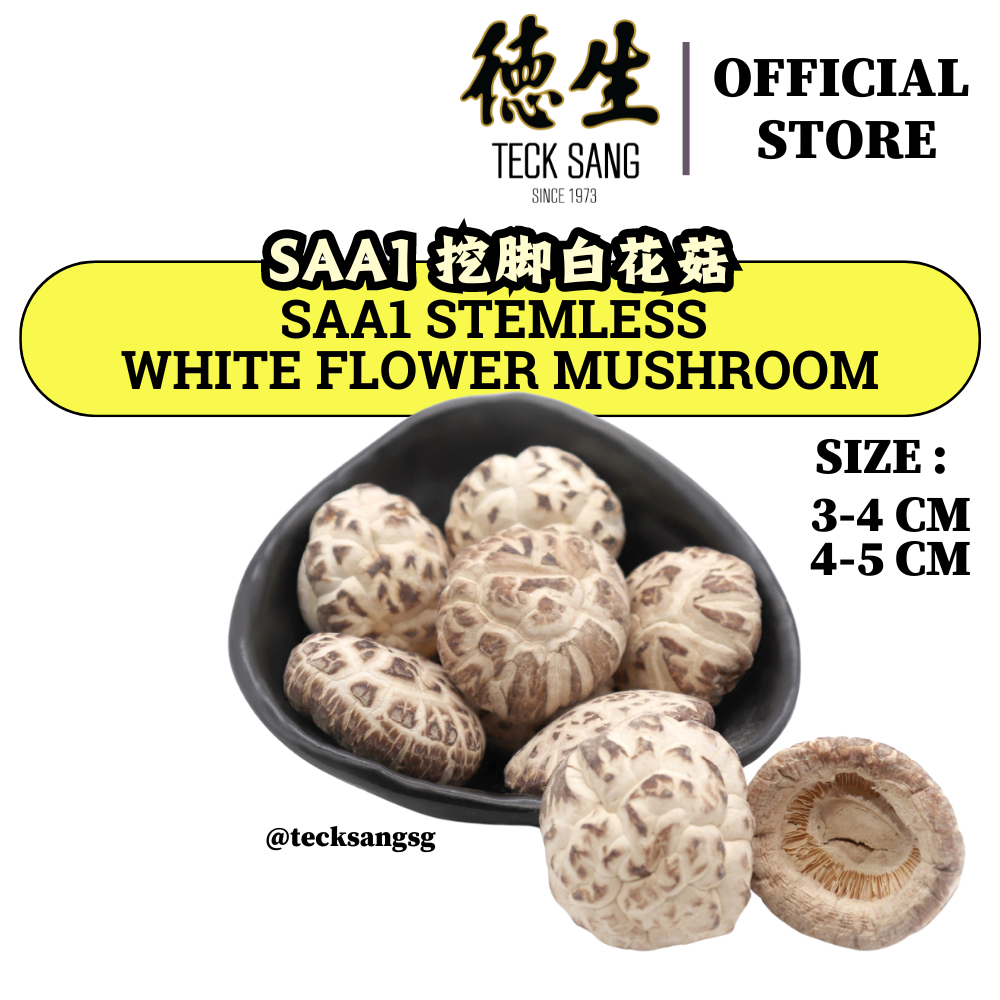 SAA1 Stemless White Flower Mushroom ( 150G / 300G / 500G ) Dried ...