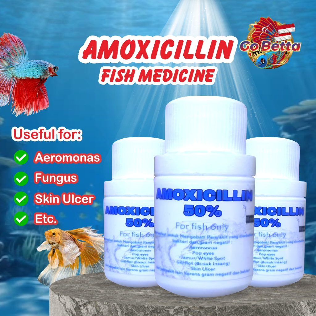 [SG Seller] FISH MEDICINE IKAN OBAT IKAN 10 GRAM LOHAN SHOP LOHAN STORE ...