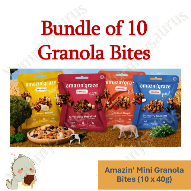 [Bundle of 10] Amazin' Mini Granola Bites (10 x 40g) | Shopee Singapore