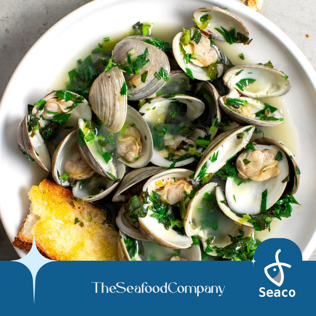 [SEACO] White Clam 1kg (60-80) | Shopee Singapore