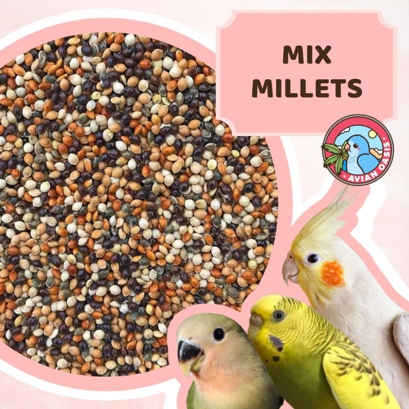 [SG] Mix Millets for Birds Parrots Rodents 1000g | Shopee Singapore