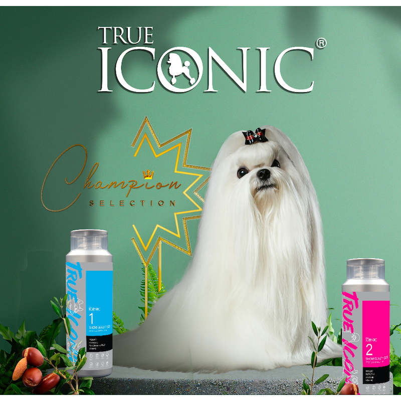 TRUE ICONIC Shampoo / Conditioner | Shopee Singapore