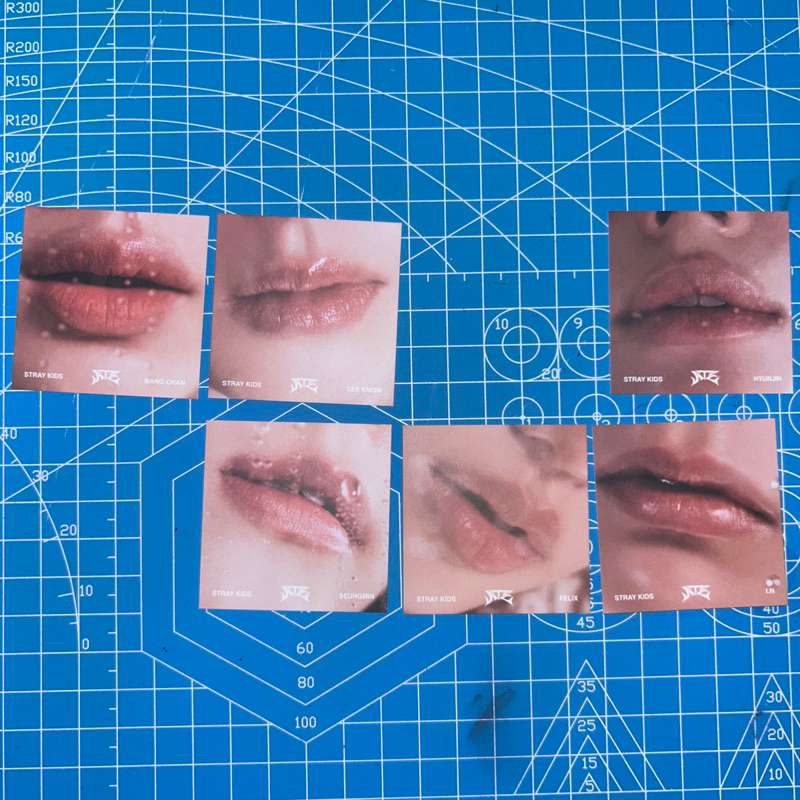 [ ATE ] Stray Kids Accordion Lip Card - Choose Member | Shopee Singapore