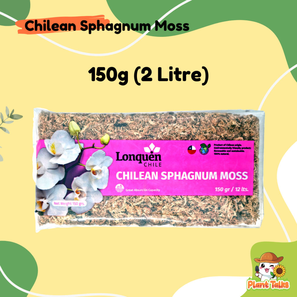 Chilean Sphagnum Moss / Peat Moss for Succulent / Rooting Moss / Garden ...