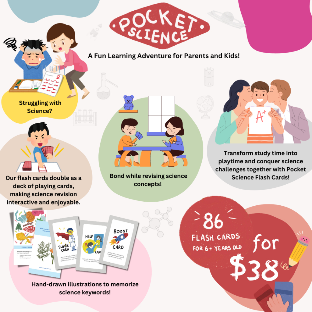 Pocket Science Flashcards | 120+Cards | PSLE Science Prep | Fun ...