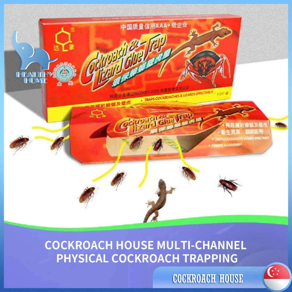 💕SG Stock💕Cockroach Lizard Trap With Bait Non-toxic Insecticide Pest ...
