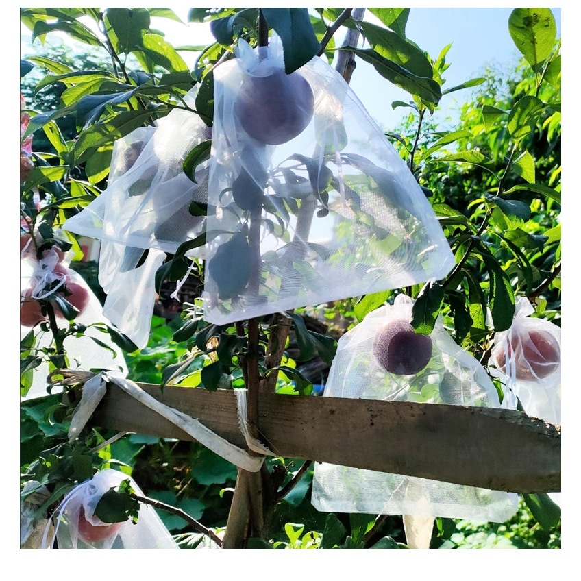 Garden Netting Bag | Fruit Protection Bags | Insect Resistant ...