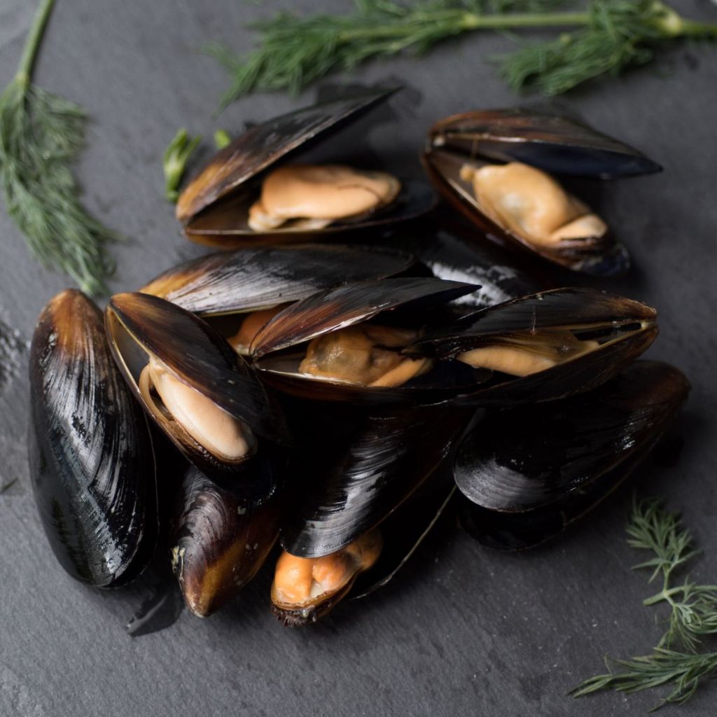 Frozen Whole Shell Blue Mussels -1Kg | Shopee Singapore