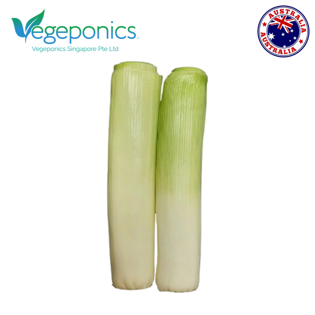 Pesticide-Free Australia Leek 大葱 250g Fresh Vegetable Green Juice ...