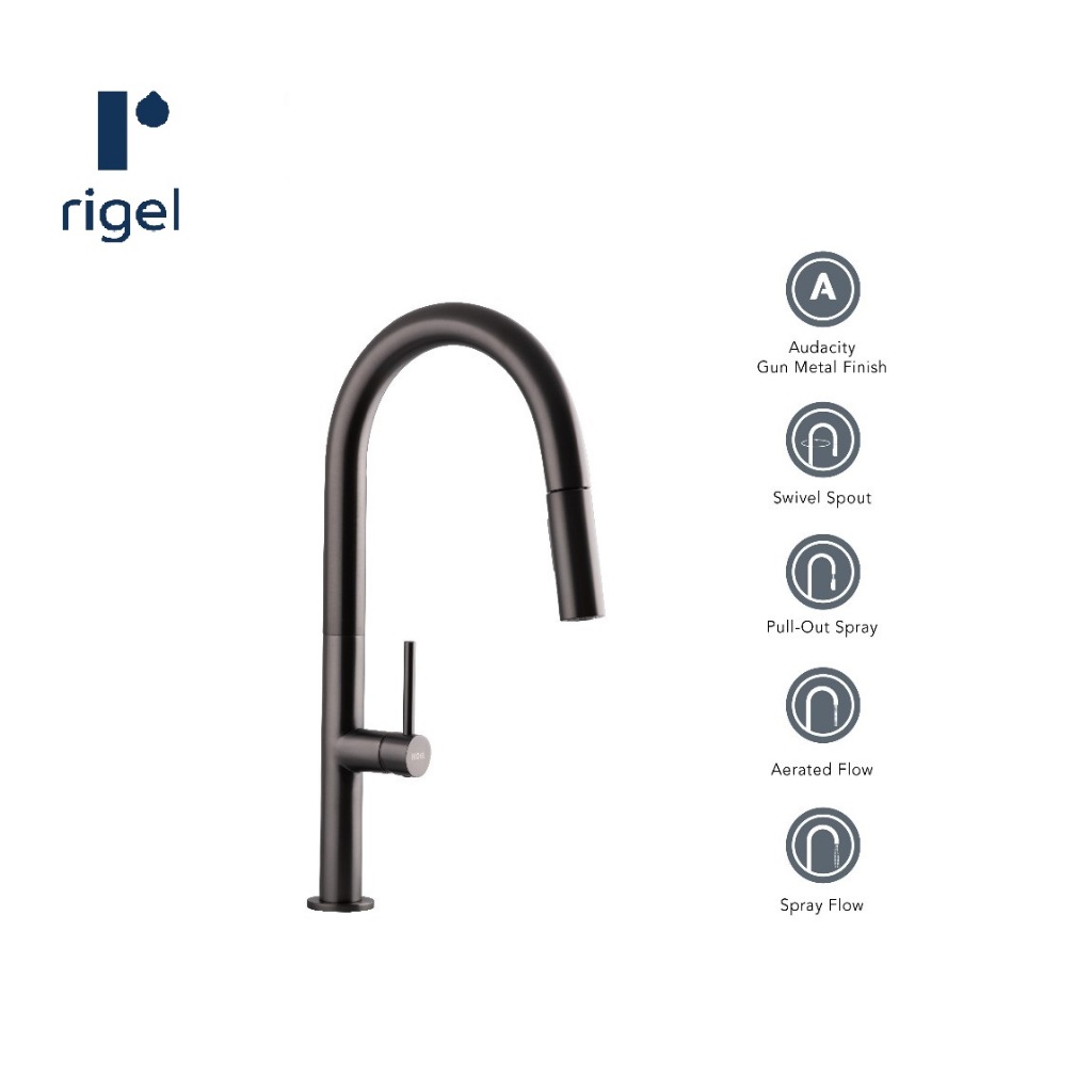 RIGEL Gunmetal Kitchen Pull-out Faucet Mixer Tap MXK1141P (GUN ...