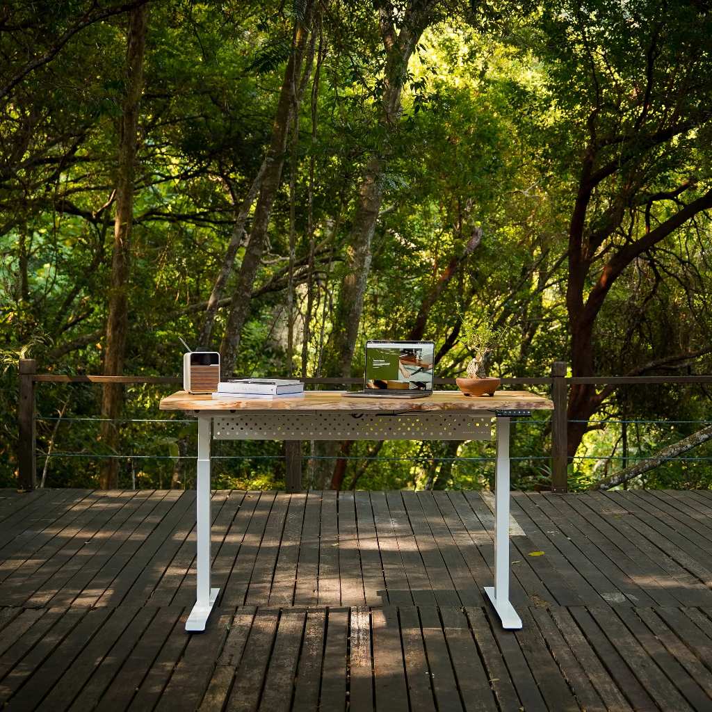 BALAK'S Meja Soul | Adjustable Desk | Electric Ergonomic Standing Table ...