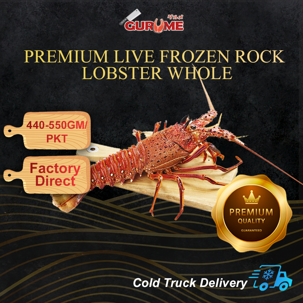 [GURUMESG] Golden Ocean Premium Live Frozen Rock Lobster Whole (440gm ...
