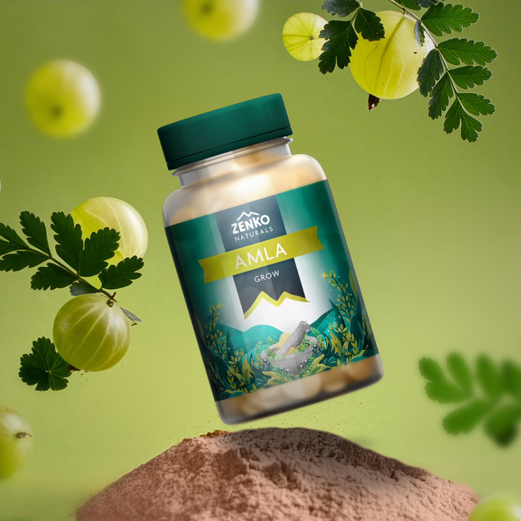 ZENKO Naturals - Amla supplements (90 caps) | Shopee Singapore