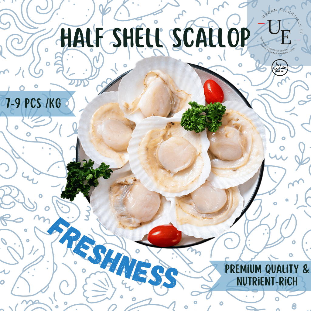 Half Shell Scallops - 1kg Pack (7-9 Pieces) | Shopee Singapore