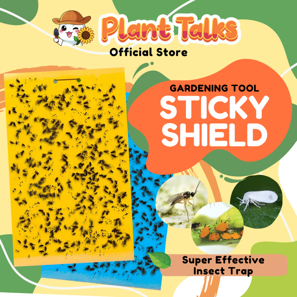 Plant Talks Sticky Shield Insect Sticky Trap for Gardening Plants Pest ...