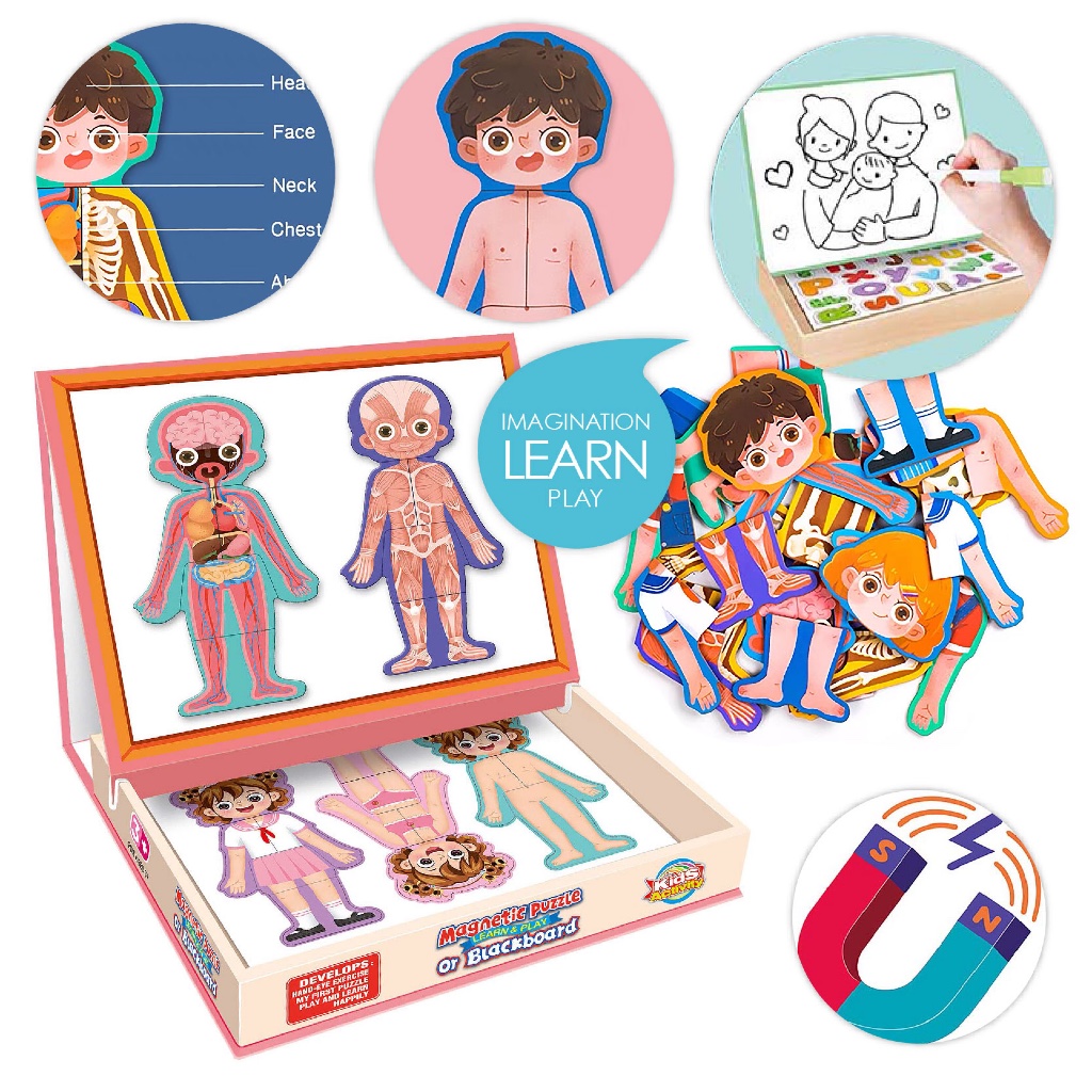 Lucky Baby Montessori Educative Human Body Anatomy Magnetic Puzzle With ...