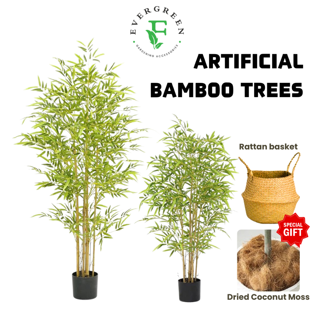 【SG Evergreen】Fake Bamboo Artificial Bamboo Plant with Pot Nearly ...