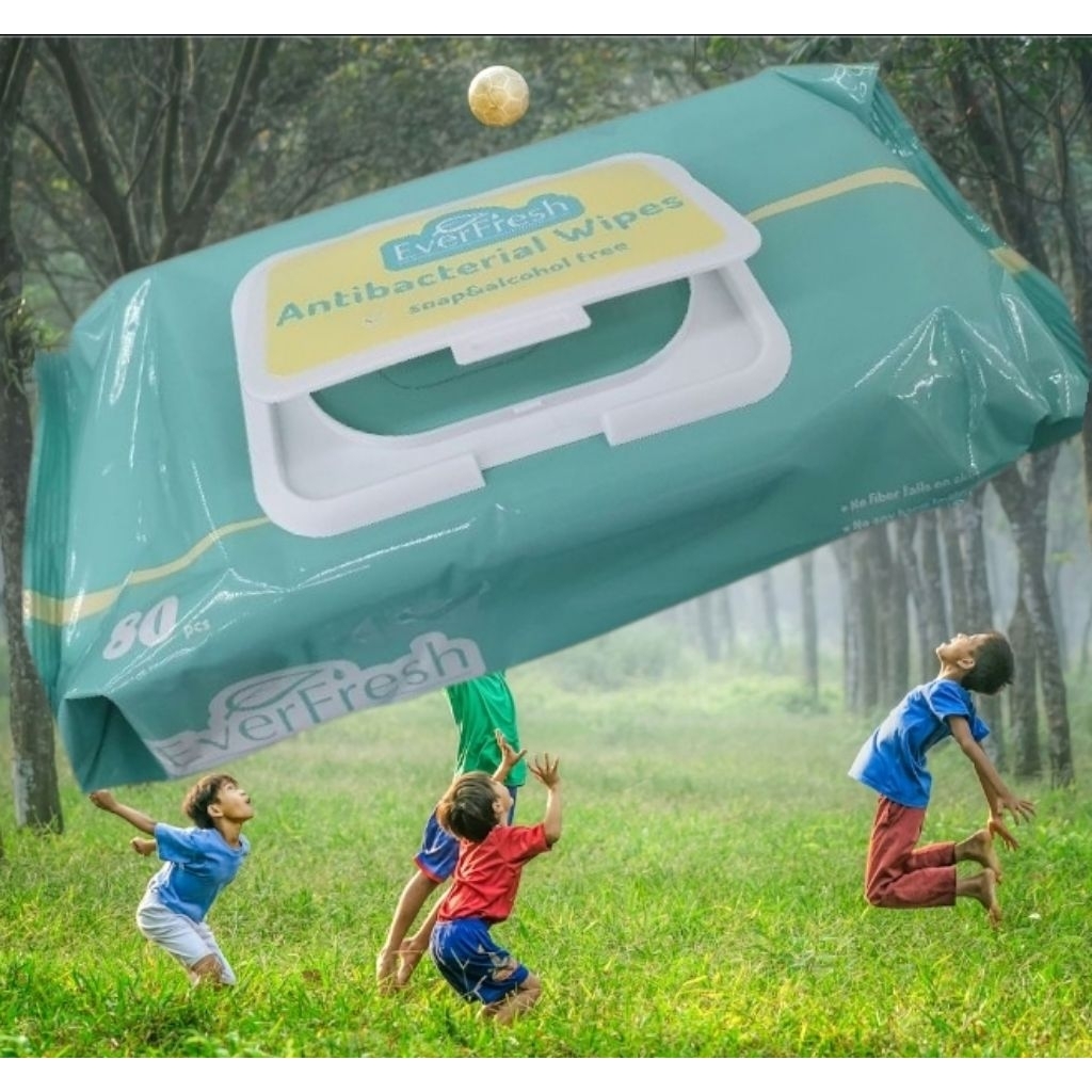 24pack/1box EverFresh Wet Wipes EverFresh AntiBacterial Wet Wipe 80pcs ...