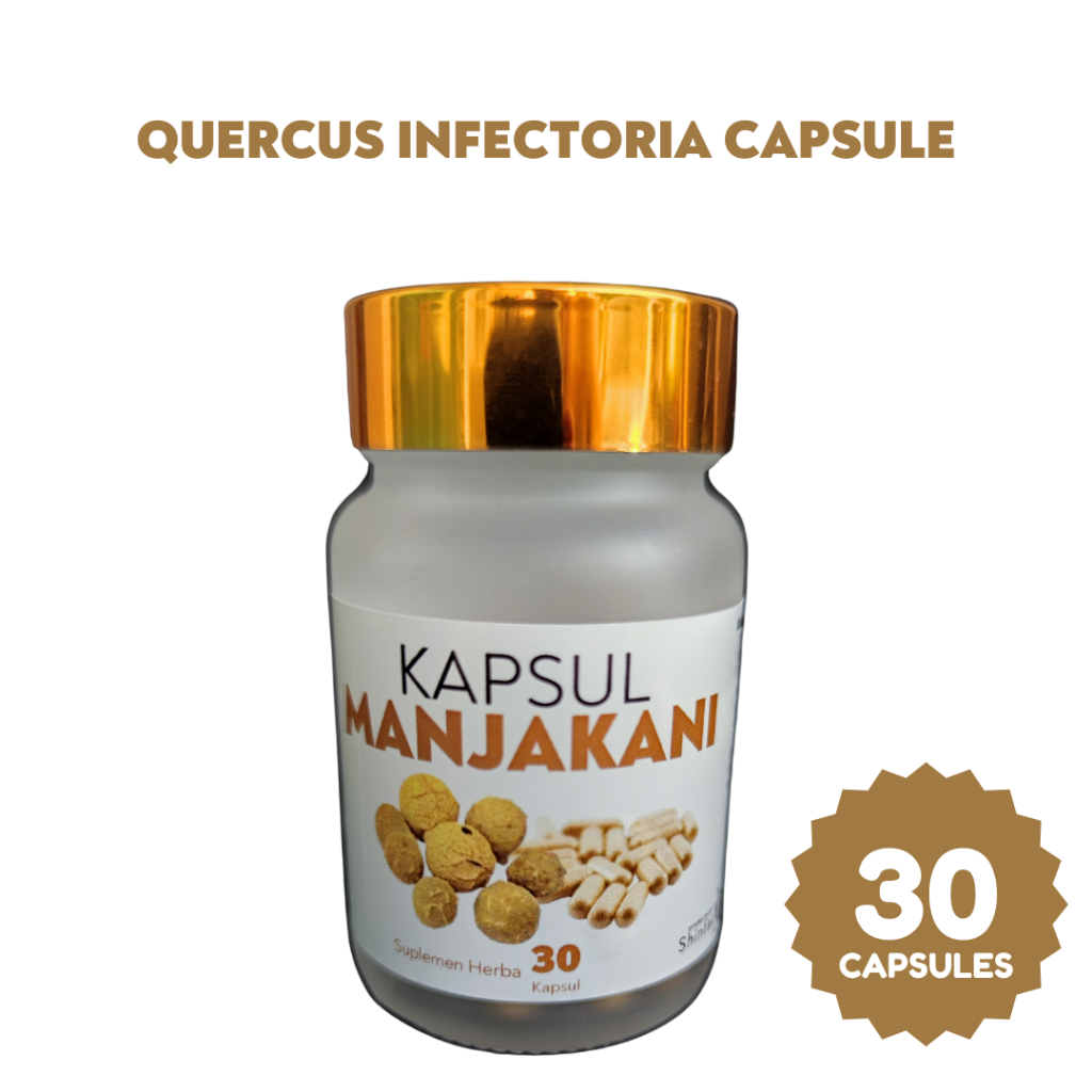 Quercus Infectoria Capsules | Kapsul Manjakani - 30 Capsules - helps ...
