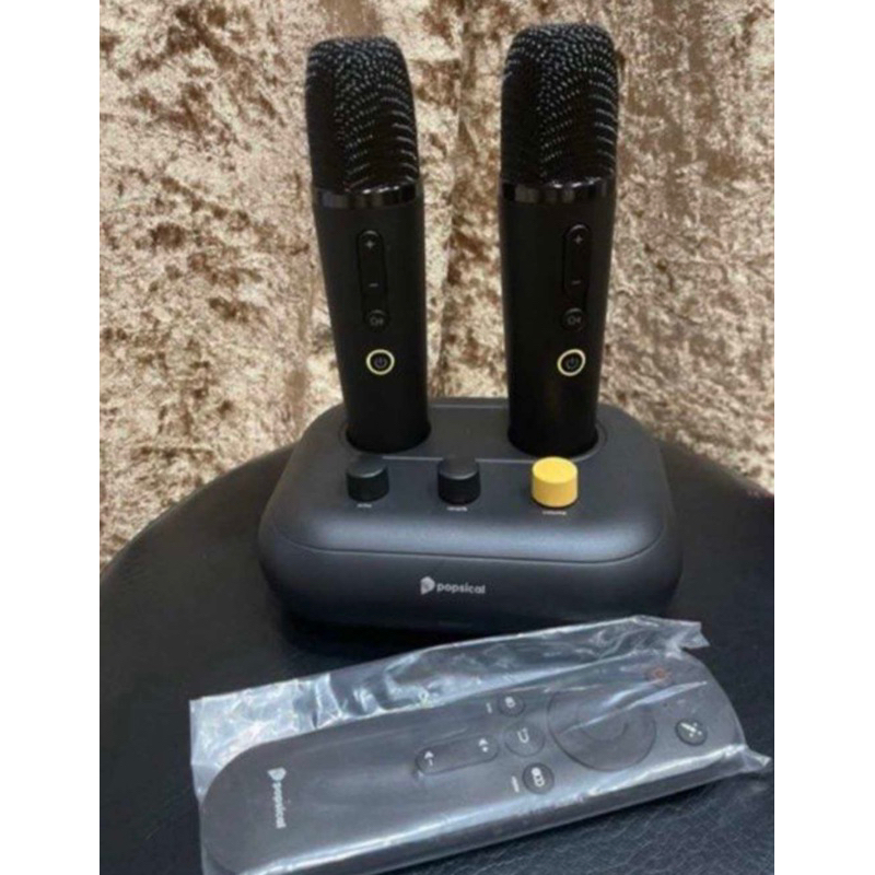 Popsical ktv karaoke duet professiona RAWR remix rawr microphone 3month ...