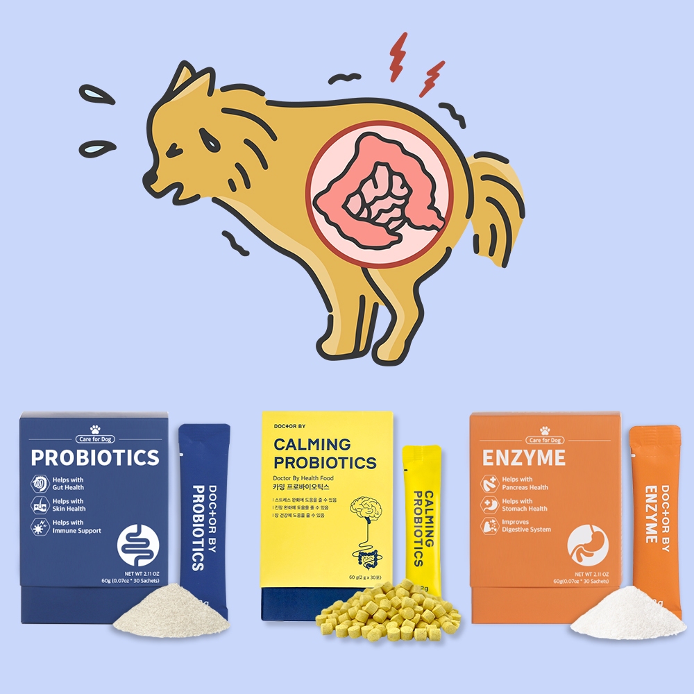 DOCTORBY pet probiotic dog stress constipation enzyme medicine diarrhea ...