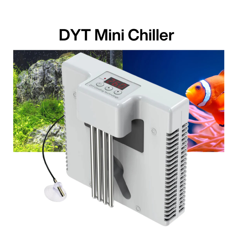 DYT Mini Chiller for up to 30L (No Installation needed) | Shopee Singapore