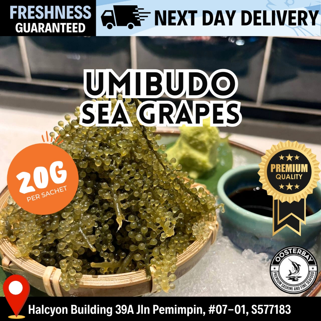 【OOSTERBAY】Umibudo Sea Grapes Green Caviar | Shopee Singapore
