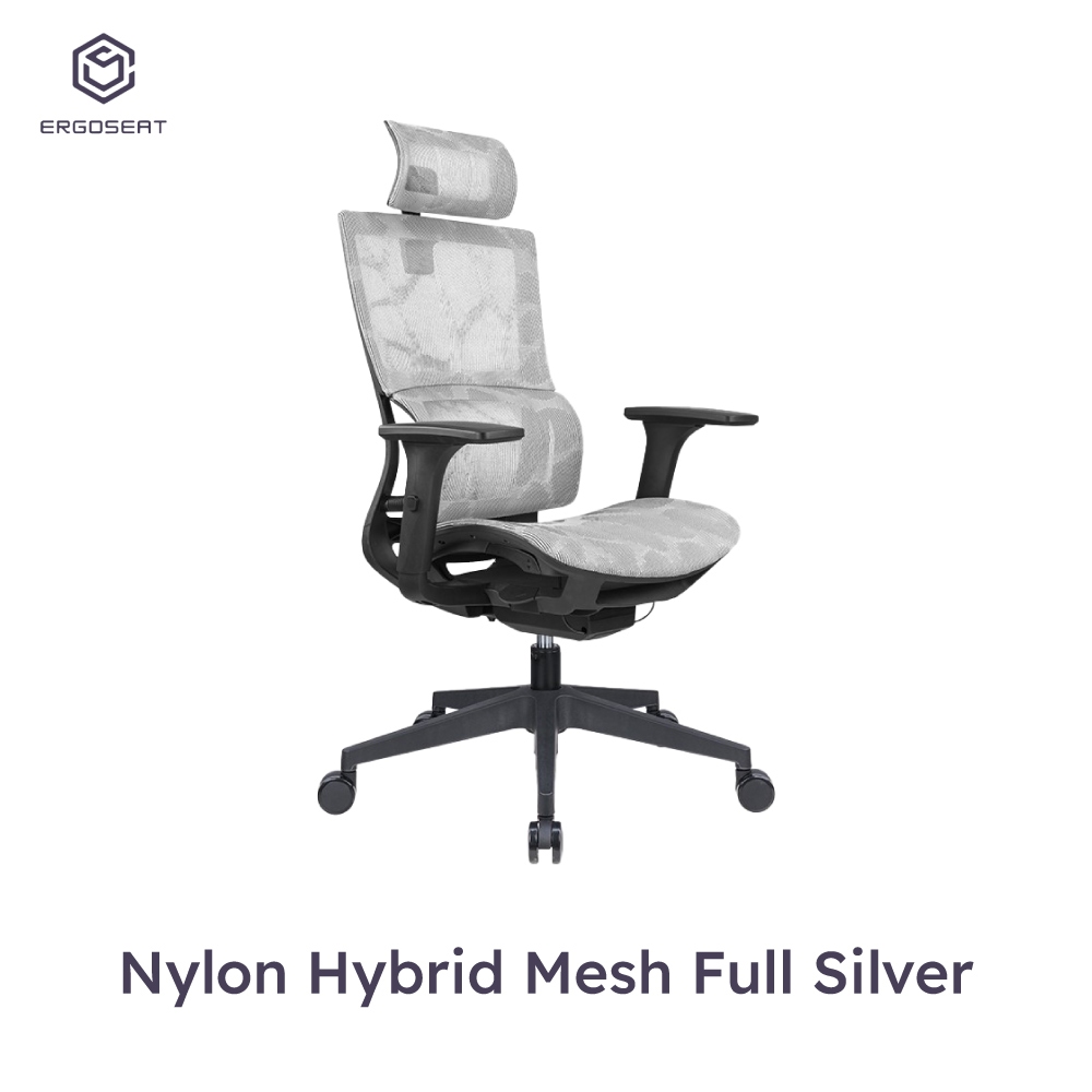 Ergoseat Ergonomic Office Chair Lumbar Support Computer Chair Study ...