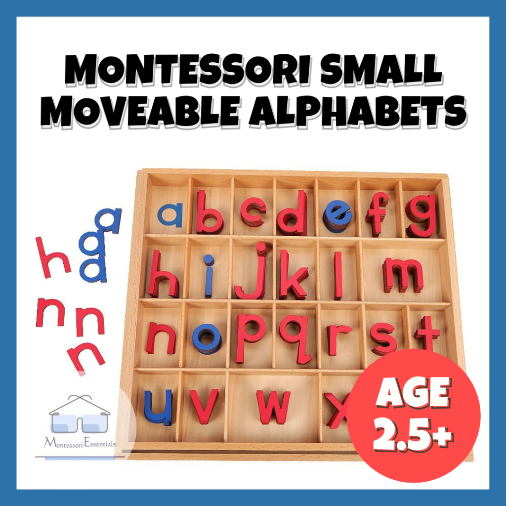 Montessori Small Moveable Alphabets Children Age 2.5+ Early Educational ...